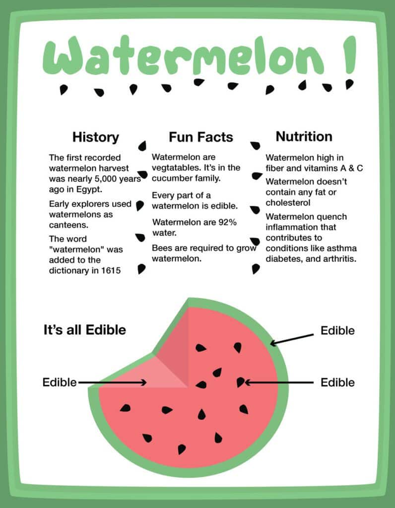 The Watermelon Diet Plan: 24 power facts-Pros, Cons, and Expert Tips ...